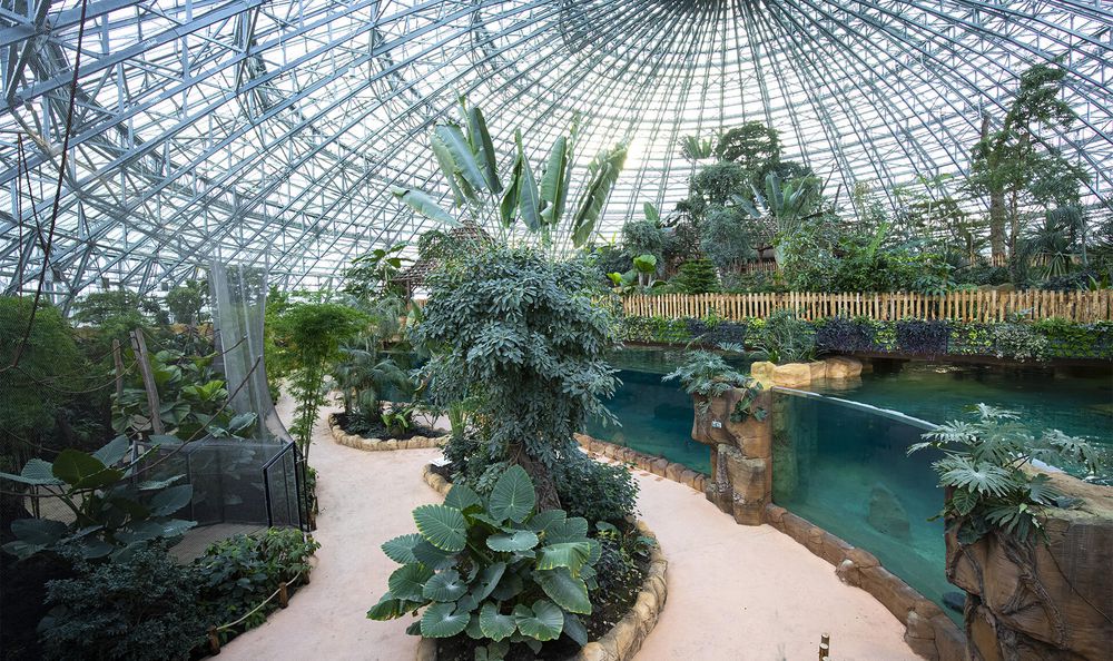 New in 2020: The Equatorial Dome | ZooParc de Beauval